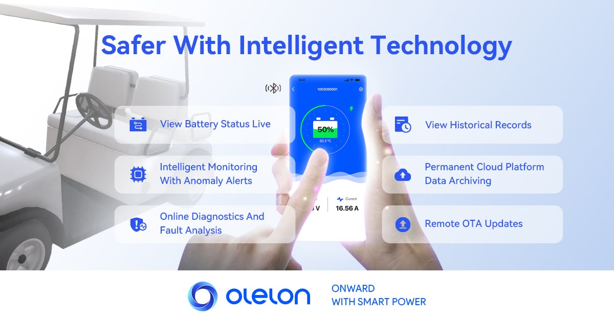 The Power of OLELON Lithium Batteries Bluetooth App , Batteries App ...