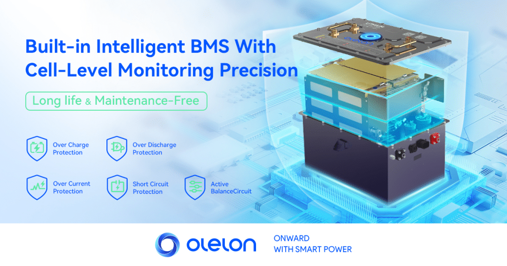 Unleashing the Power: How Lithium-Ion Battery BMS Technology Transforms ...